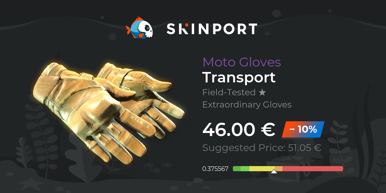 Moto Gloves | Transport (Field-Tested) - Counter-Strike 2 - Skinport