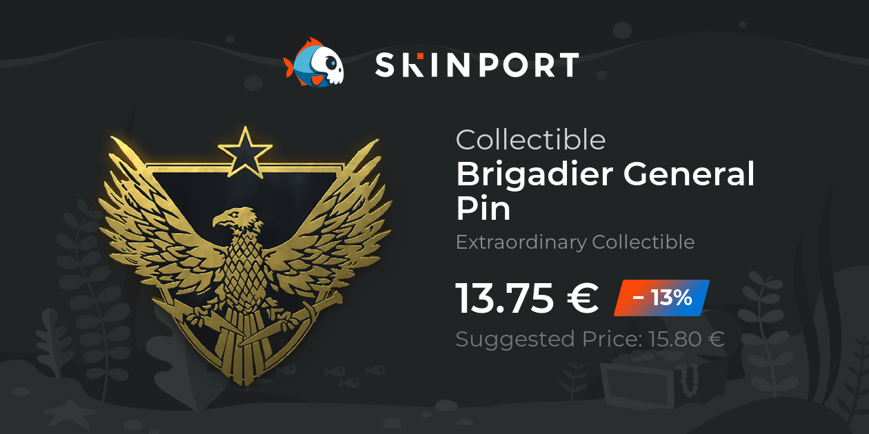 Brigadier General Pin - Counter-Strike 2 - Skinport