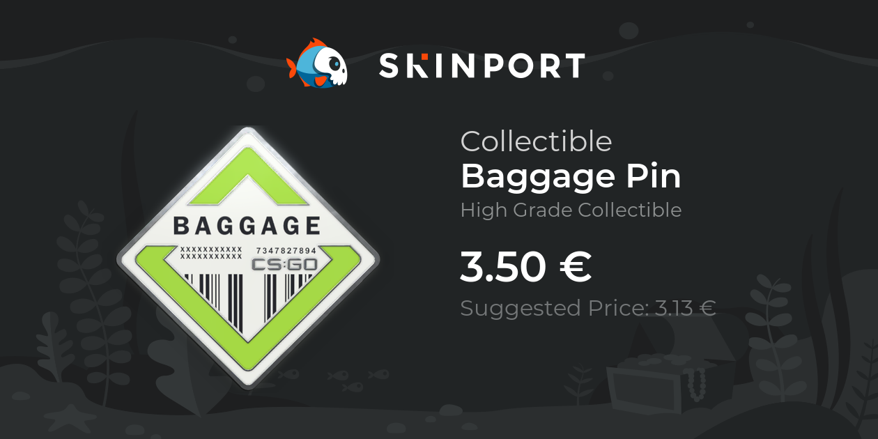 Pin de Baggage - Counter-Strike 2 - Skinport