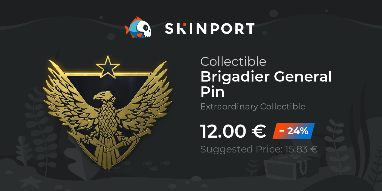 Brigadier General Pin - Counter-Strike 2 - Skinport