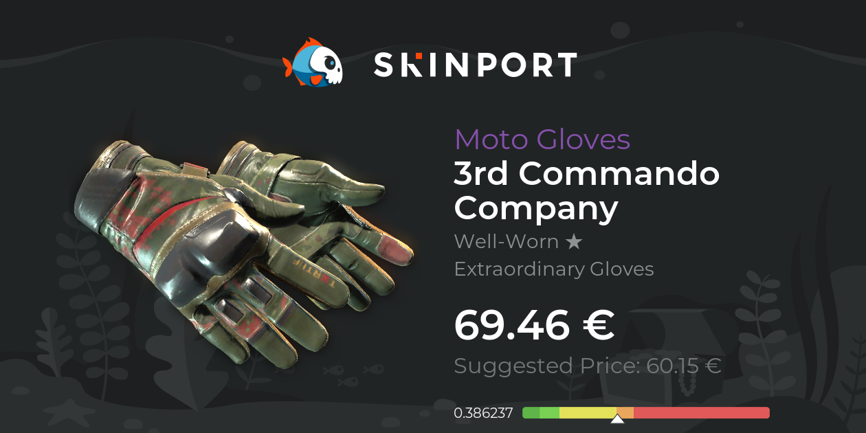 Moto Gloves | 3rd Commando Company (Well-Worn) - Counter-Strike 2 ...